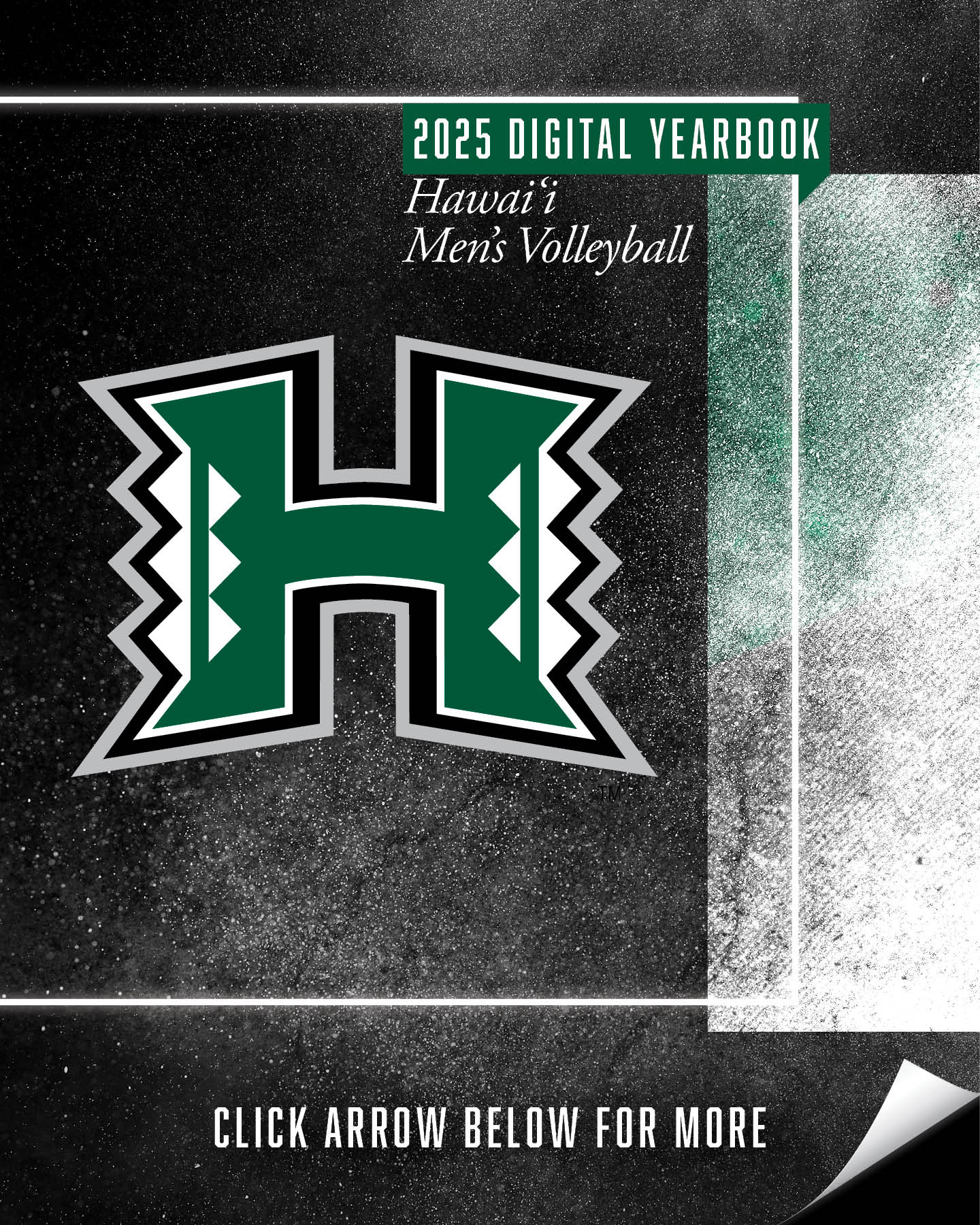 Hawaii H Logo UH "H" LOGO SNAPBACK – IN4MATION Store